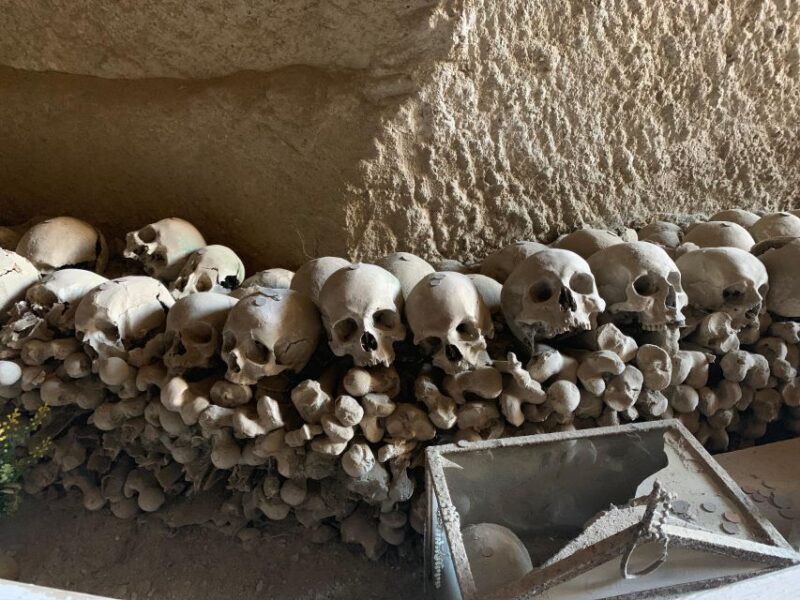Tour in Minivan Mercedes to Sorrento & Pompeii - Pompeii: Walking Through Ancient History