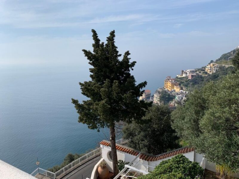 Tour in Minivan Mercedes to Sorrento & Pompeii - The Scenic Drive and Additional Free Time