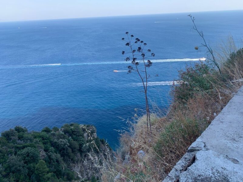 Tour in Minivan Mercedes to Sorrento & Pompeii - What to Expect and What’s Not Included