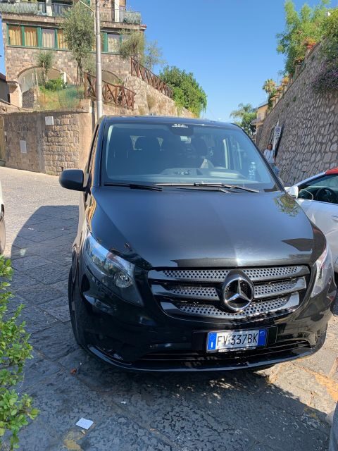 Tour in Minivan Mercedes to Sorrento & Pompeii - Why This Tour Might Be Right for You
