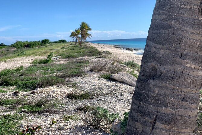 Tour in North and South Bonaire Guided - What’s Not Included