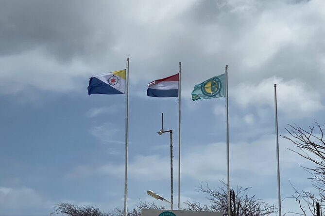 Tour in North and South Bonaire Guided - Reviews and Authentic Opinions