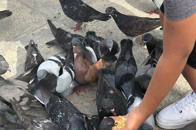 Tour in Puerto Plata with Visit to Paseo de Doña Blanca - Practical Details and Value