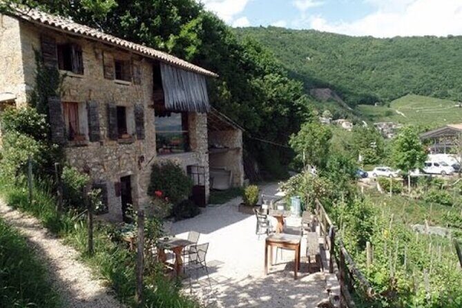 Tour in the Prosecco Hills Tour from Padua - An In-Depth Look at What to Expect