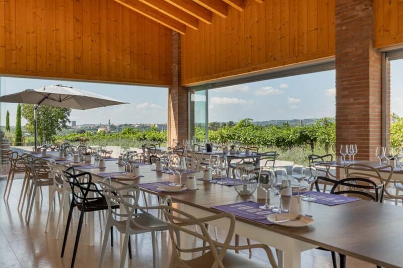 Tour in Valpolicella: wine, oil, and peach tasting - An inviting introduction to Valpolicella’s land and flavors