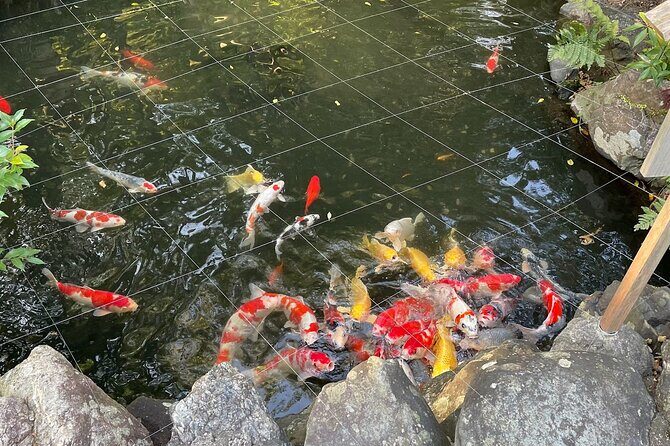 Tour Ise on a rental electric scooter 90min - The Sum Up