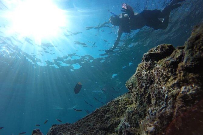 Tour islands Marietas Snorkeling and Nopalera Beach - An In-Depth Look at the Marietas Islands Snorkeling and Nopalera Beach Tour