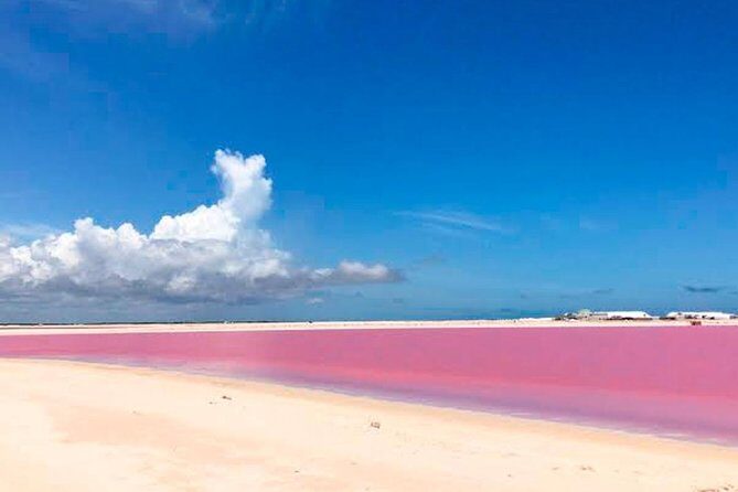 Tour Las Coloradas & Rio Lagartos only from Tulum - Key Points