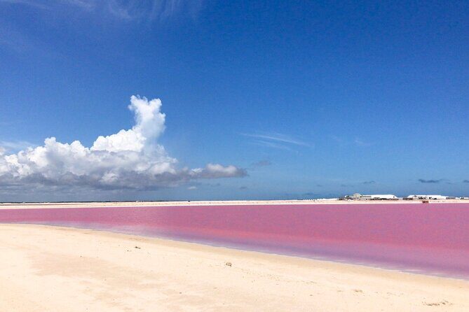 Tour Las Coloradas & Rio Lagartos only from Tulum - Authenticity and Practical Tips