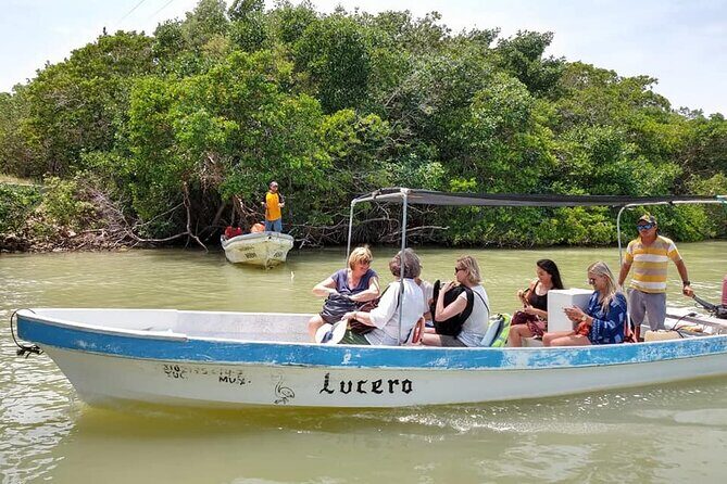 Tour Las Coloradas & Rio Lagartos only from Tulum - Who Should Consider This Tour?