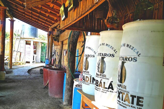 Tour Los Caminos del Mezcal Café and Pedal Loom Factory - An In-Depth Look at the Tour Experience