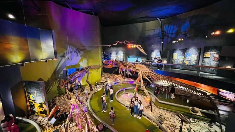 TOUR "Museo del Desierto" + Traslados + Tickets incluidos - Who Would Love This Tour