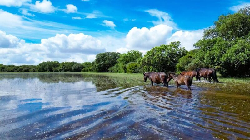 Tour Nature & Wildlife from Cagliari - What to Expect from the Sardinia Nature & Wildlife Tour