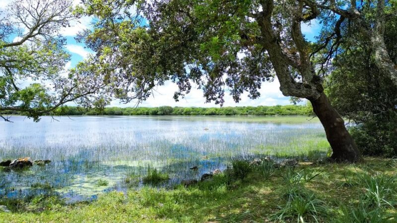 Tour Nature & Wildlife from Cagliari - Value for Money