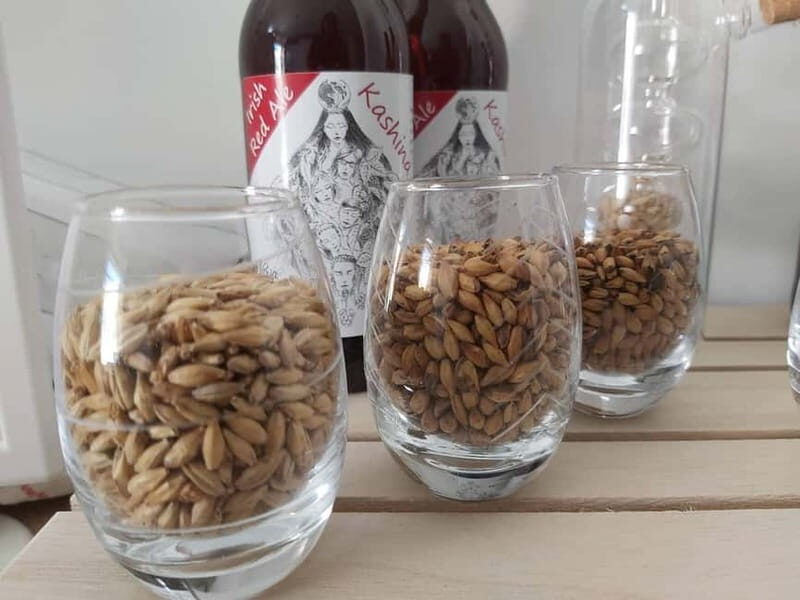 Tour of a craft brewery with tasting - Discovering the Charm of a Family-Run Algarve Craft Brewery