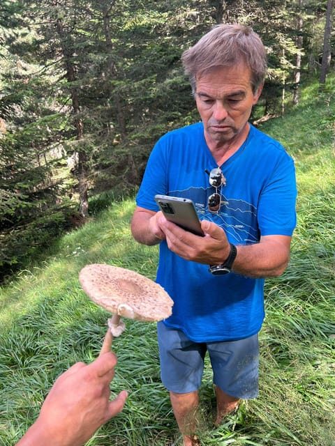 Tour of Aran 4×4 - Fauna, flora and alpine nature - Final Thoughts