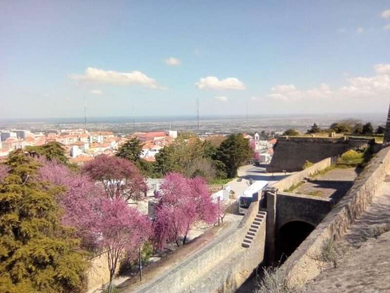 Tour of Arrábida and beautiful landscapes and wine tasting - An In-Depth Look at the Tour Experience