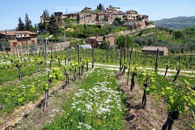 Tour of Chianti for small groups departing from Florence or surroundings - Key Points