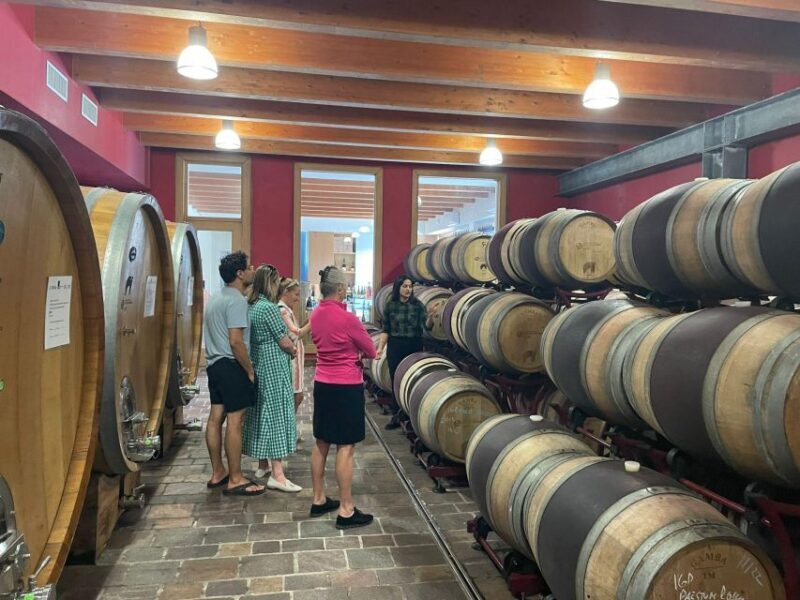 Tour of Cilento: a journey through history and archaeology - Key Points