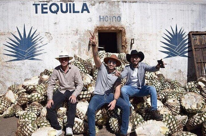 Tour of El Castillo Distillery to Cantaritos Experience - Who Should Consider This Tour?