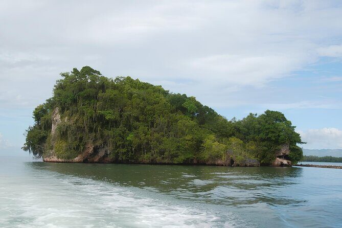 Tour of Los Haitises Montaña Redonda and Yanigua Waterfall in one day - What Previous Travelers Say