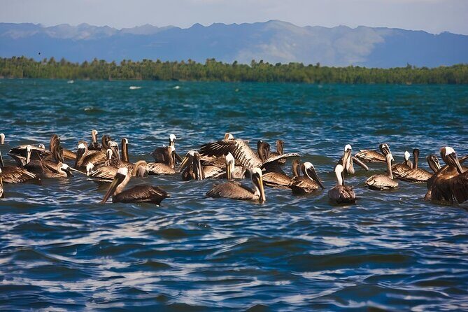 Tour of Los Haitises Montaña Redonda and Yanigua Waterfall in one day - Who Will Love This Tour?