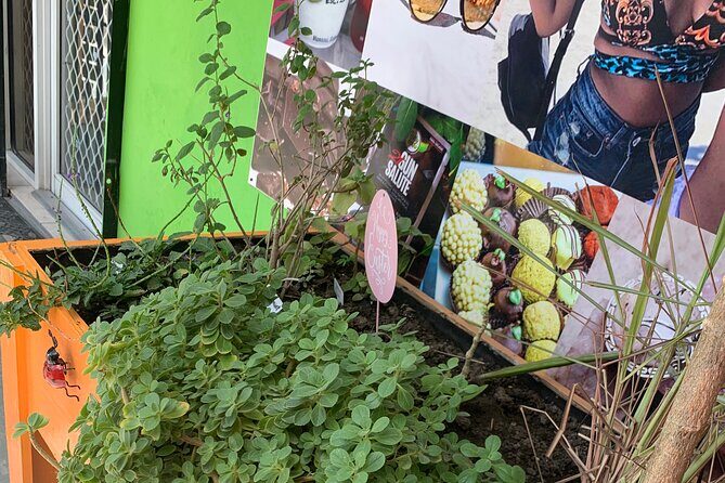 Tour of Nassau - Who Should Consider This Tour?