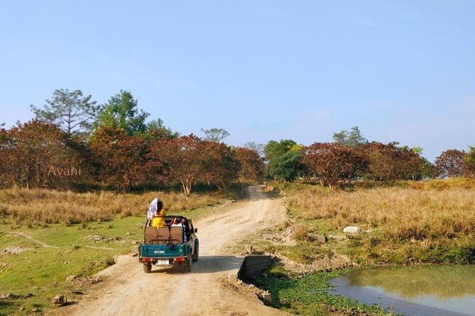 Tour of Pobitora Wildlife Sanctuary from Guwahati with Safari, Lunch and Guide - Exploring the Pobitora Wildlife Sanctuary from Guwahati: An Honest Review