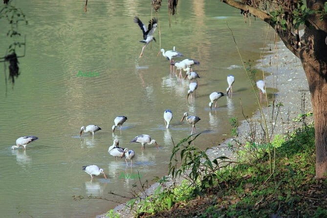 Tour of Pobitora Wildlife Sanctuary from Guwahati with Safari, Lunch and Guide - Frequently Asked Questions