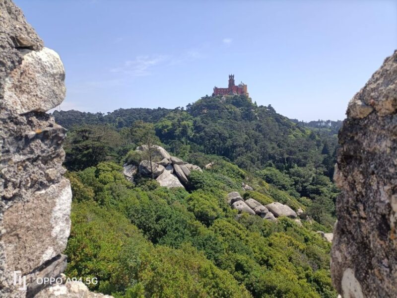 Tour of Sintra 5 hours - Final Thoughts: Is This Tour Right for You?