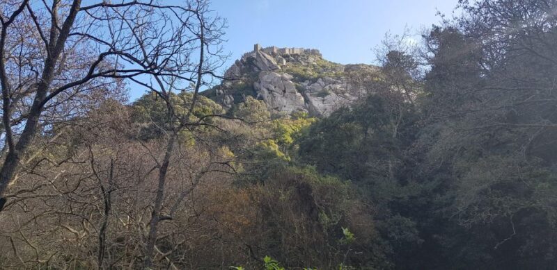 Tour of Sintra 5 hours - FAQ about the Sintra 5-Hour Tour