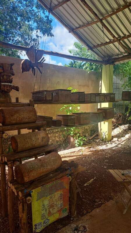TOUR OF THE 4 BACABES : EXPERIENCE WITH MELIPONA BEES - Hands-On at the Mayan Farm and Pigment Oven