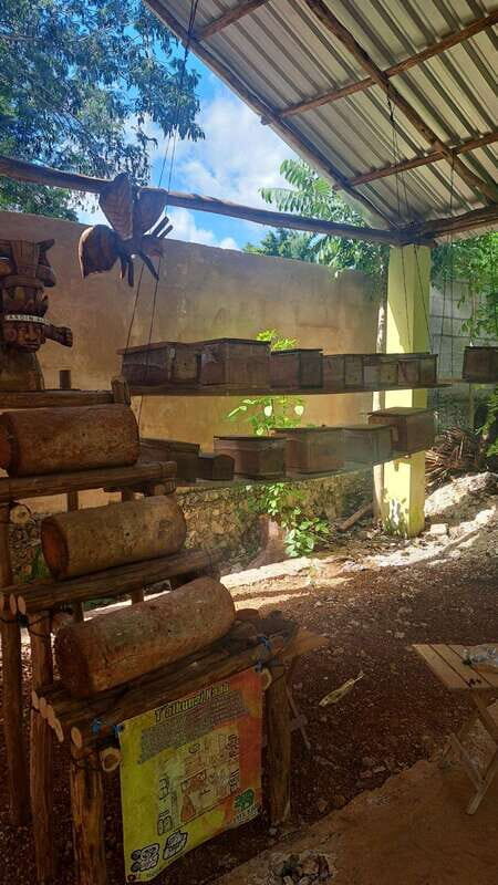 TOUR OF THE 4 BACABES : EXPERIENCE WITH MELIPONA BEES - The Sacred Meliponicarium: Entering the Heart of the Beehive