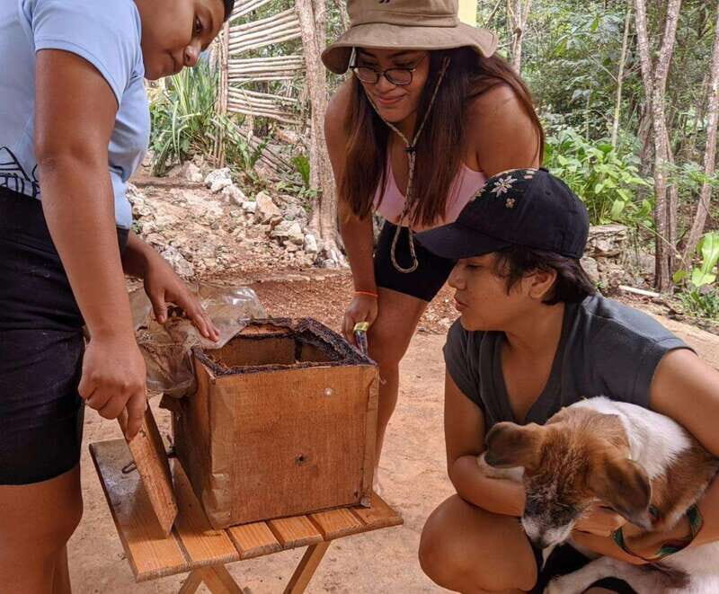 TOUR OF THE 4 BACABES : EXPERIENCE WITH MELIPONA BEES - Gastronomy and Tasting Experience