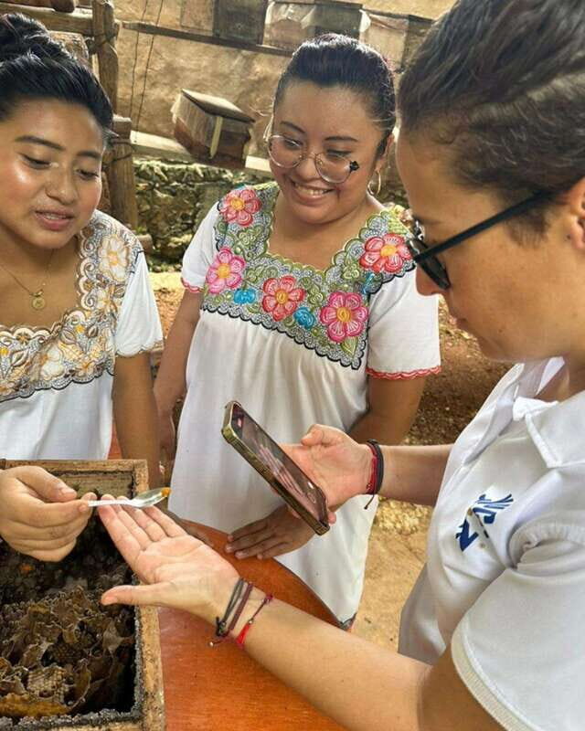 TOUR OF THE 4 BACABES : EXPERIENCE WITH MELIPONA BEES - Tour Duration and Group Size