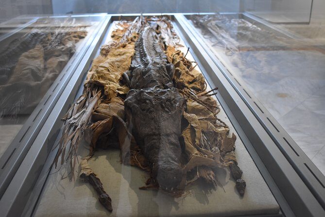 Tour of the Archaeological Museum of Naples - What to Expect During the Tour