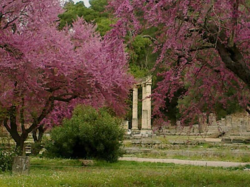 Tour of the archaeological site of Olympia by an Italian-Greek archaeologist - The Sum Up