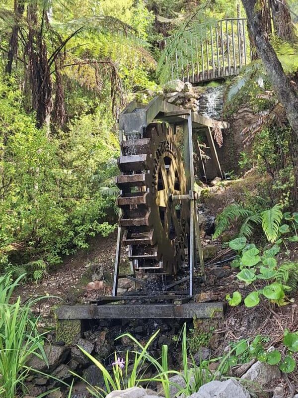 Tour of the Bay, Te Puna Sculpture Park and Historic Village - Key Points