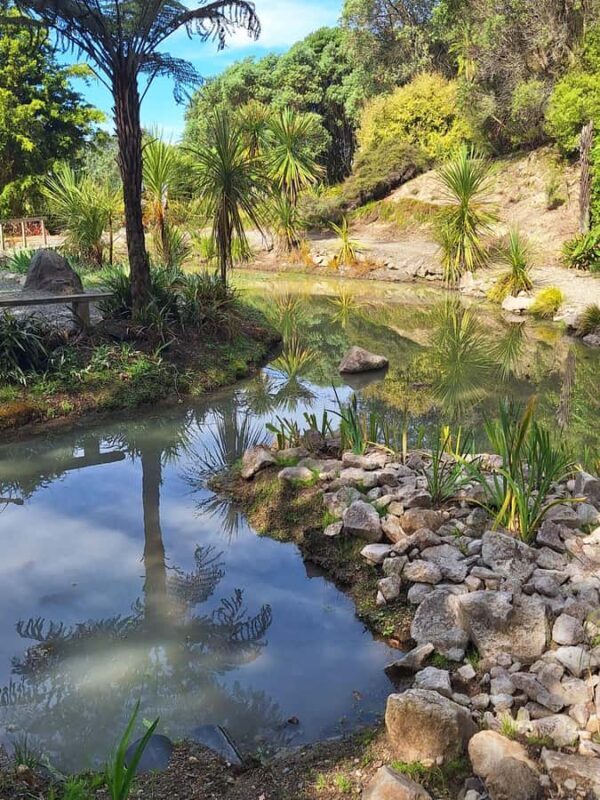 Tour of the Bay, Te Puna Sculpture Park and Historic Village - The Itinerary in Detail