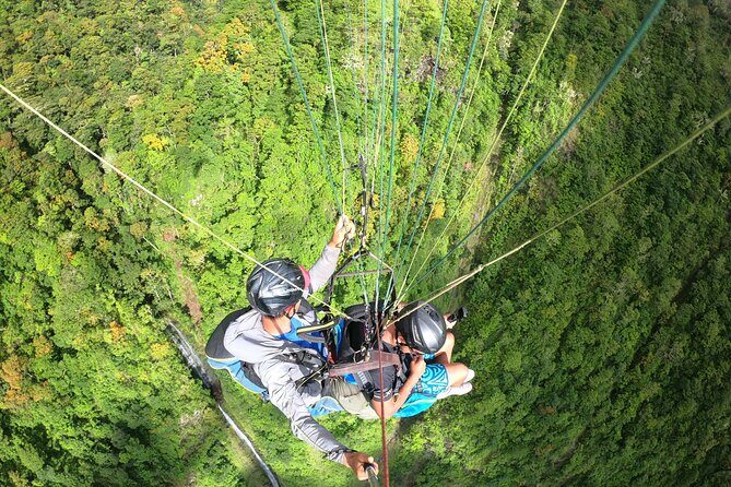 Tour of the island and Peninsula WITH Paragliding and Taxi Boat (Teahupoo) - Who Will Love This Tour?
