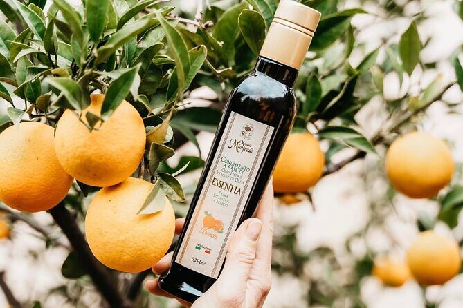Tour of the oil mill with tasting - The Setting: A Beautiful Blend of Nature and Heritage