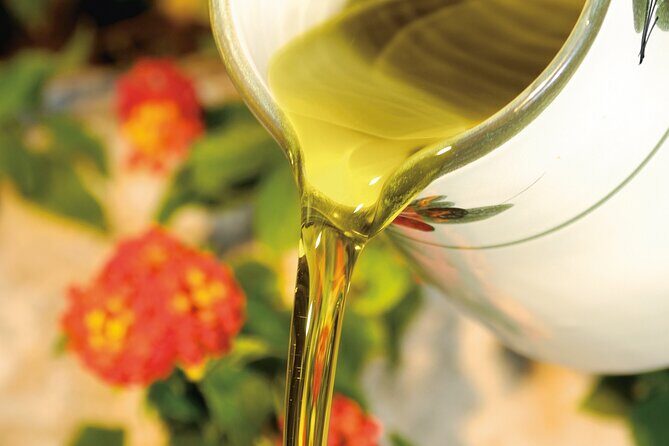 Tour of the oil mill with tasting - Practical Tips for Travelers
