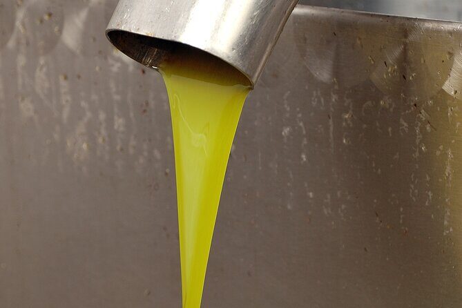 Tour of the oil mill with tasting - Authenticity and Expert Guidance Make All the Difference