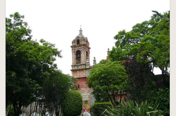 Tour of the picturesque San Angel neighborhood - Ending at the Carmen Museum