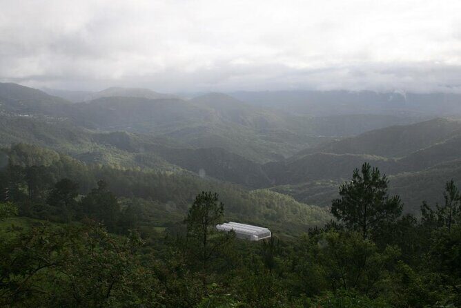 Tour of the Sierra Juárez, Ixtlán, Guelatao and Capulálpam - Frequently Asked Questions