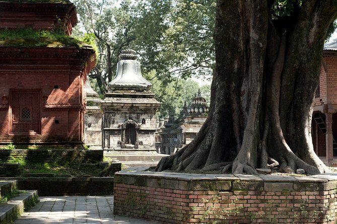 Tour of the Villages of Varanasi (Guided Sightseeing Tour by Car) - Final Thoughts