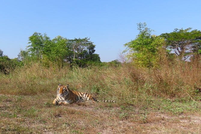 Tour of the Wildlife Rescue Center - Introduction