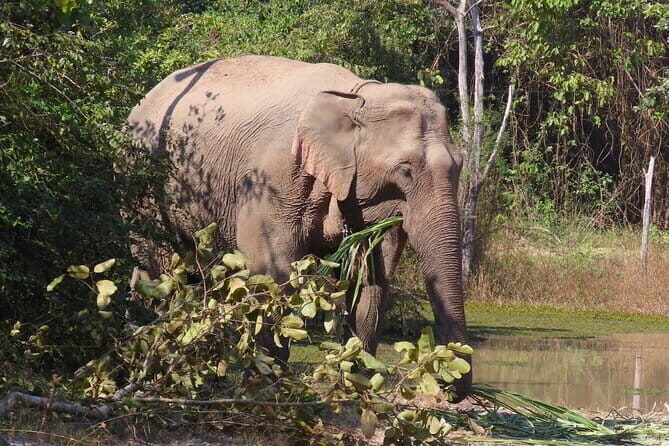 Tour of the Wildlife Rescue Center - Key Points: