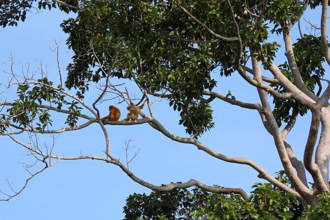 Tour of the Wildlife Rescue Center - Detailed Breakdown of the Itinerary