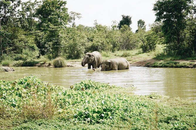 Tour of the Wildlife Rescue Center - Final Thoughts: Who Should Consider This Tour?